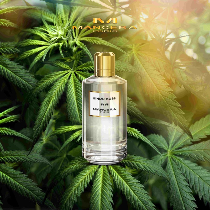 Mancera hindu kush store